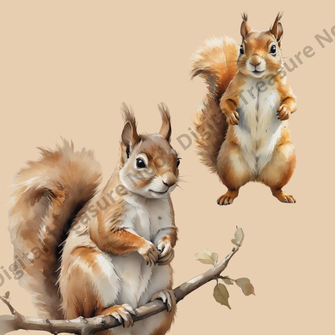 12 Squirrel Clipart, Watercolor Clipart, High Quality, PNG, Fall Clip ...