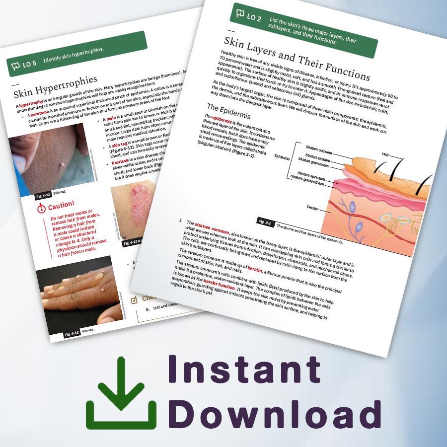 Milady's Standard Cosmetology : 14 Edition by Milady - PDF - Etsy