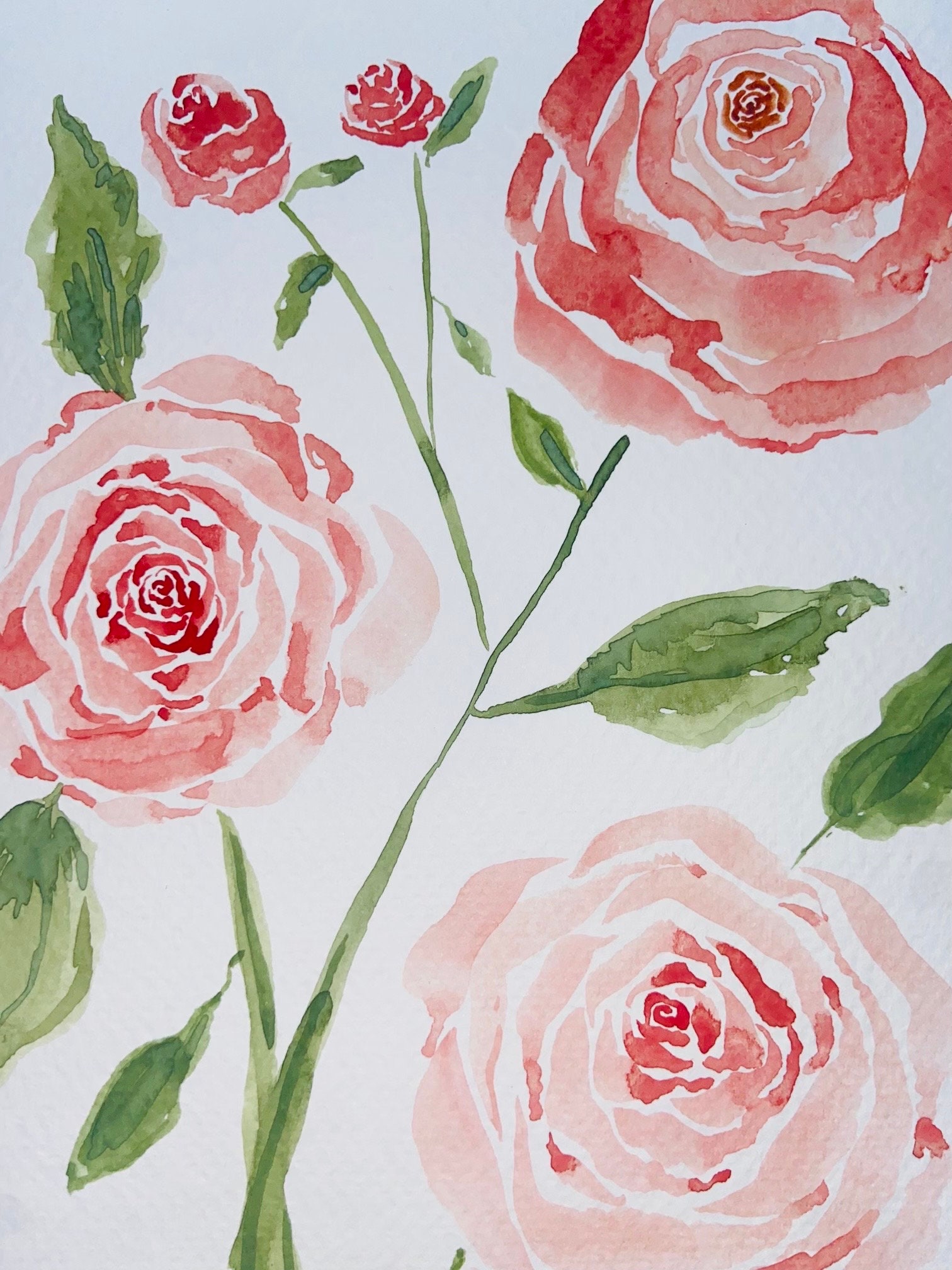 Pink Roses Watercolor - Etsy