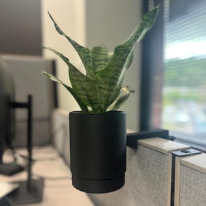 Cubicle Wall Planter: Modern Office Desk Decor - Etsy