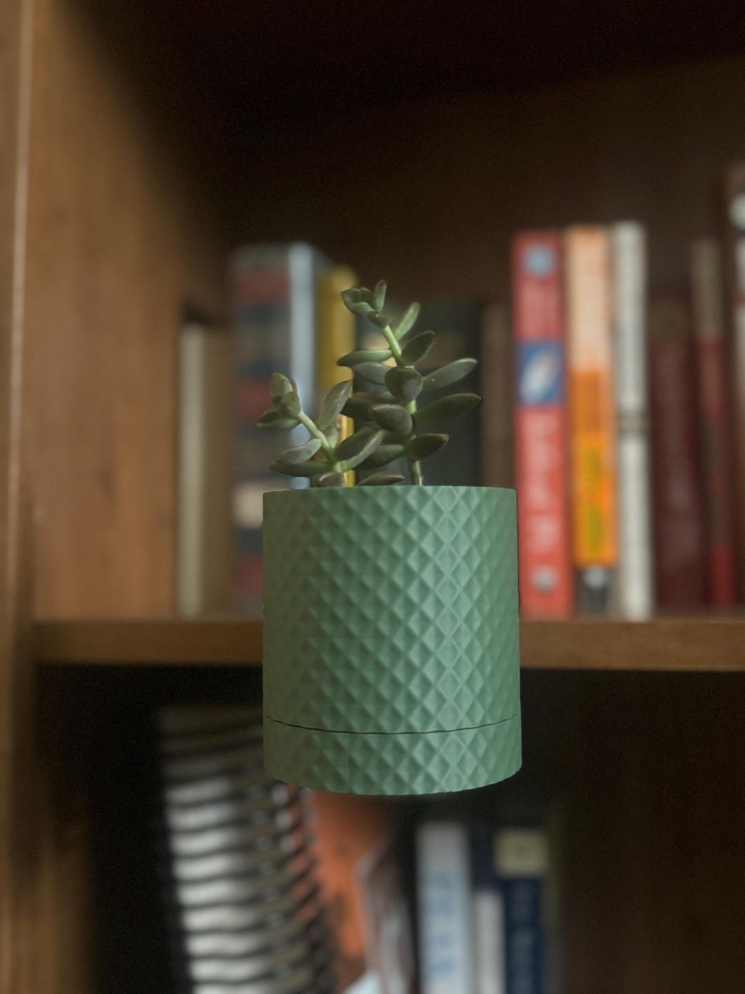Stylish Bookshelf Planter - Clamps to Bookshelf - Floating Aesthetic, 2 ...