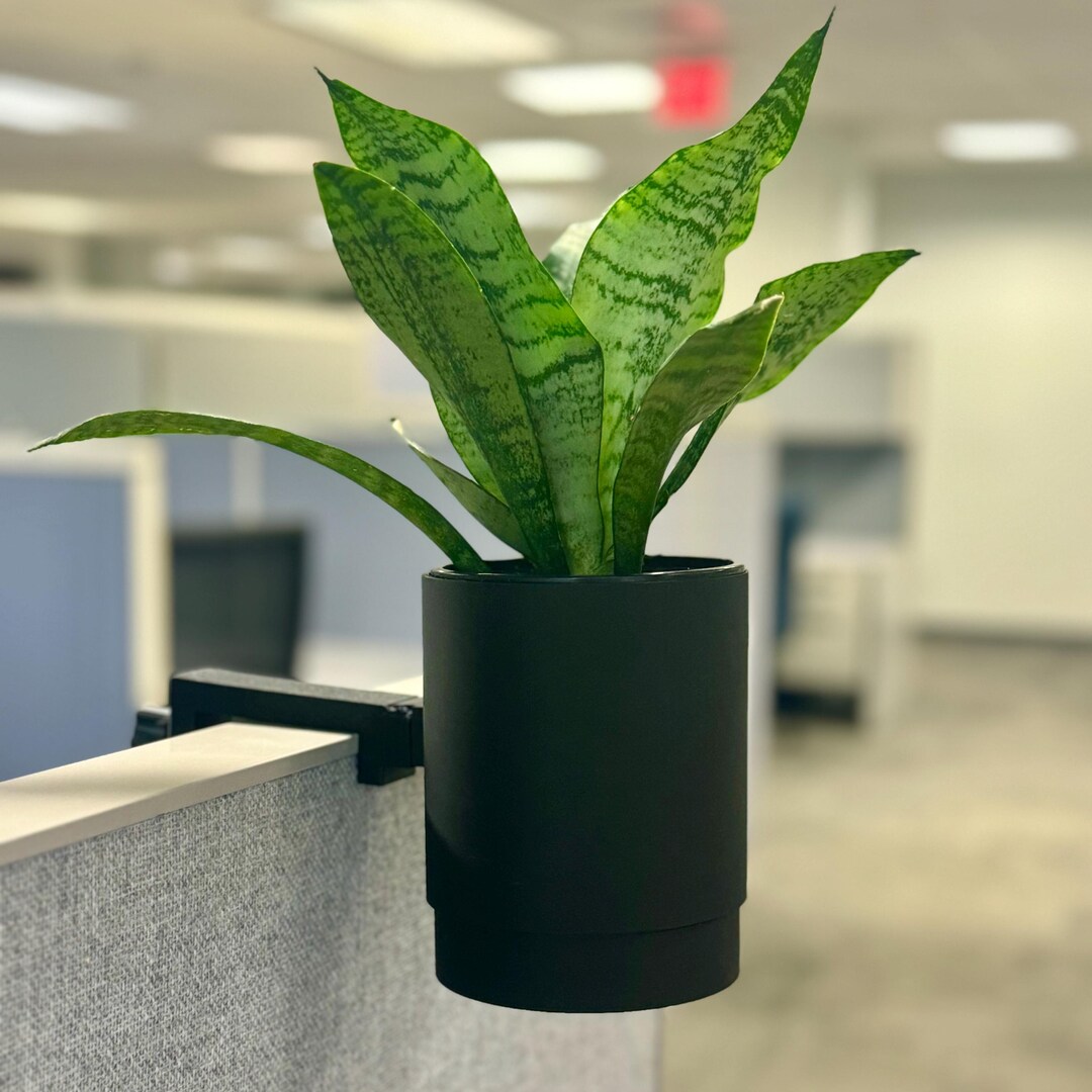 Cubicle Wall Planter: Modern Office Desk Decor - Etsy