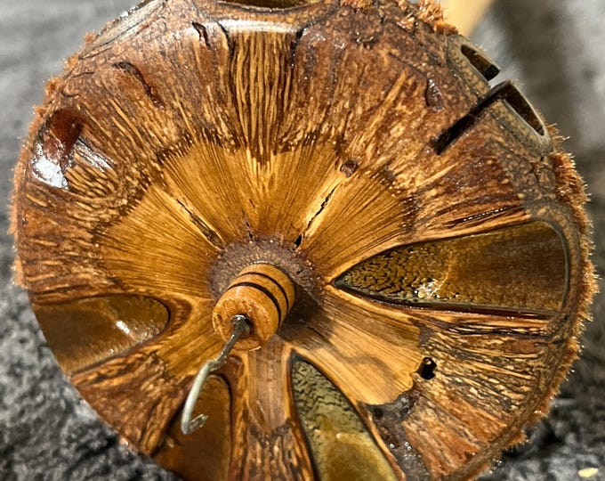 1.37 Oz. Banksia Pod Drop Spindle Top Whorl 3199 - Etsy