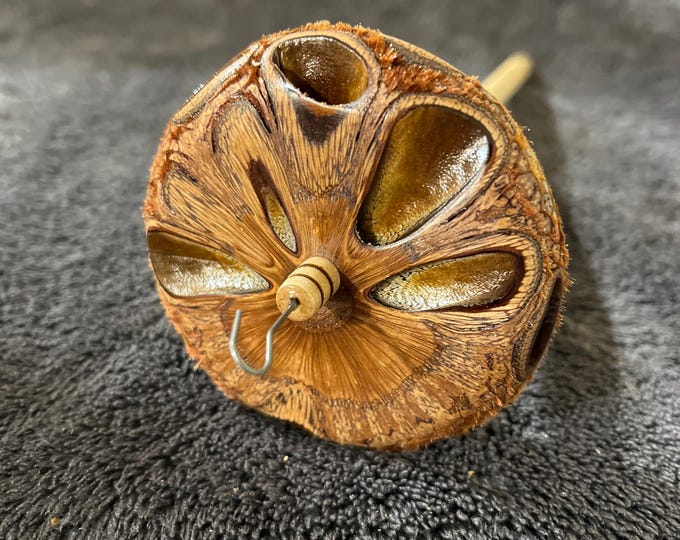 1.42 Oz. Banksia Pod Drop Spindle Top Whorl 3218 - Etsy