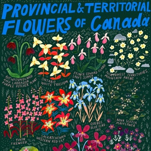 Provincial and Territorial Flowers of Canada - Etsy
