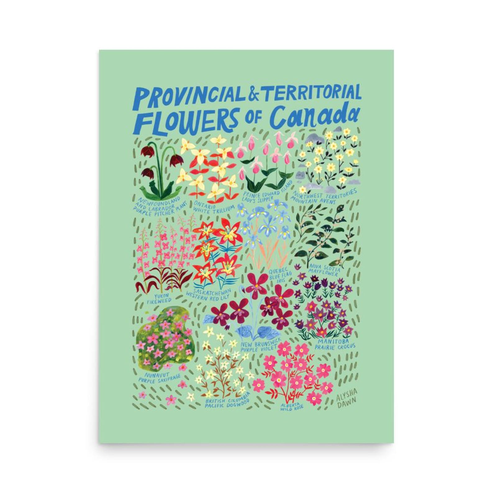 Provincial and Territorial Flowers of Canada - Mint - Etsy