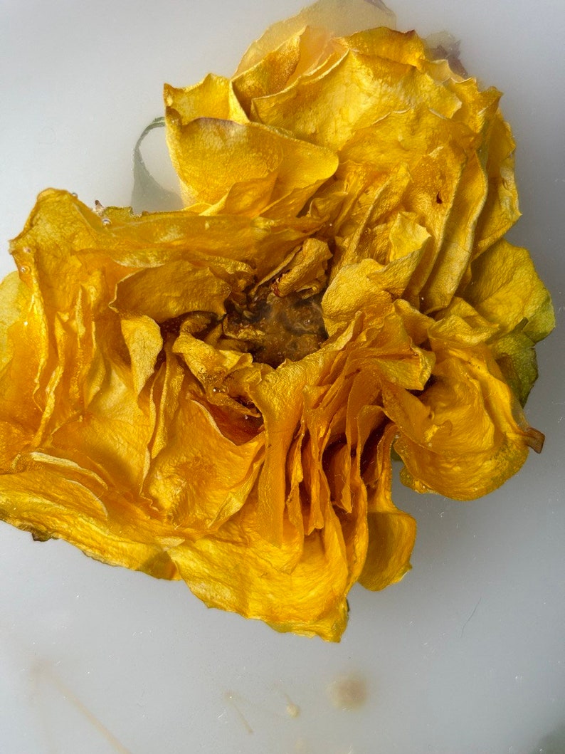 Round Epoxy Coffee Table - Handcrafted Floral Design, Artistic Resin ...