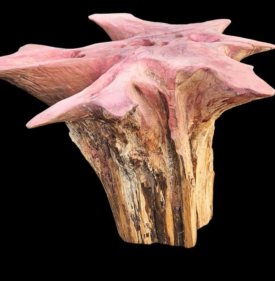 Cedar Wood Stump Tables - Etsy