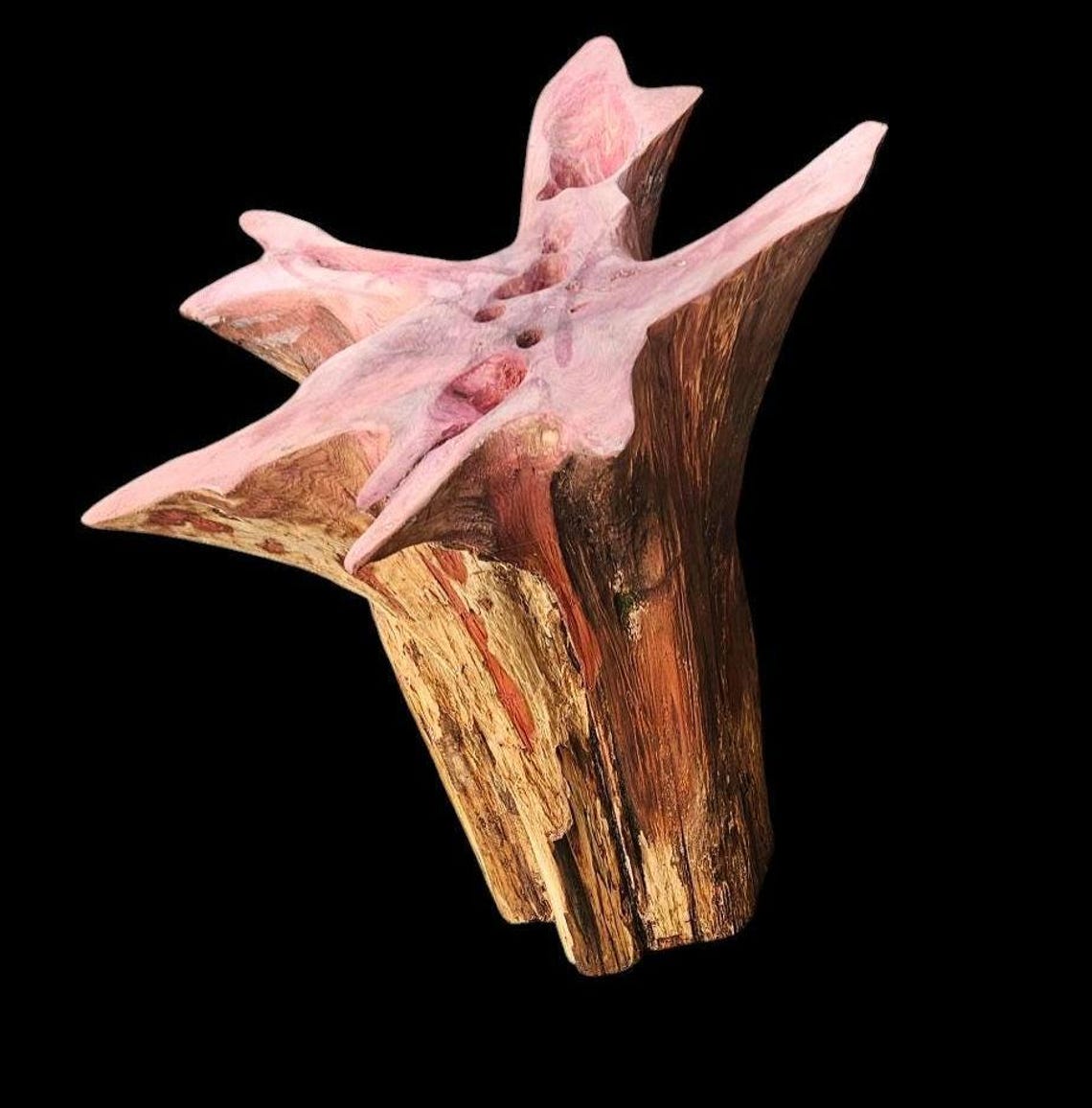 Cedar Wood Stump Tables - Etsy