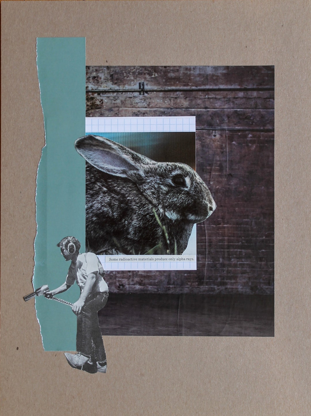 Original Collage Animal Cruelty Testing Rabbit Radioactive - Etsy