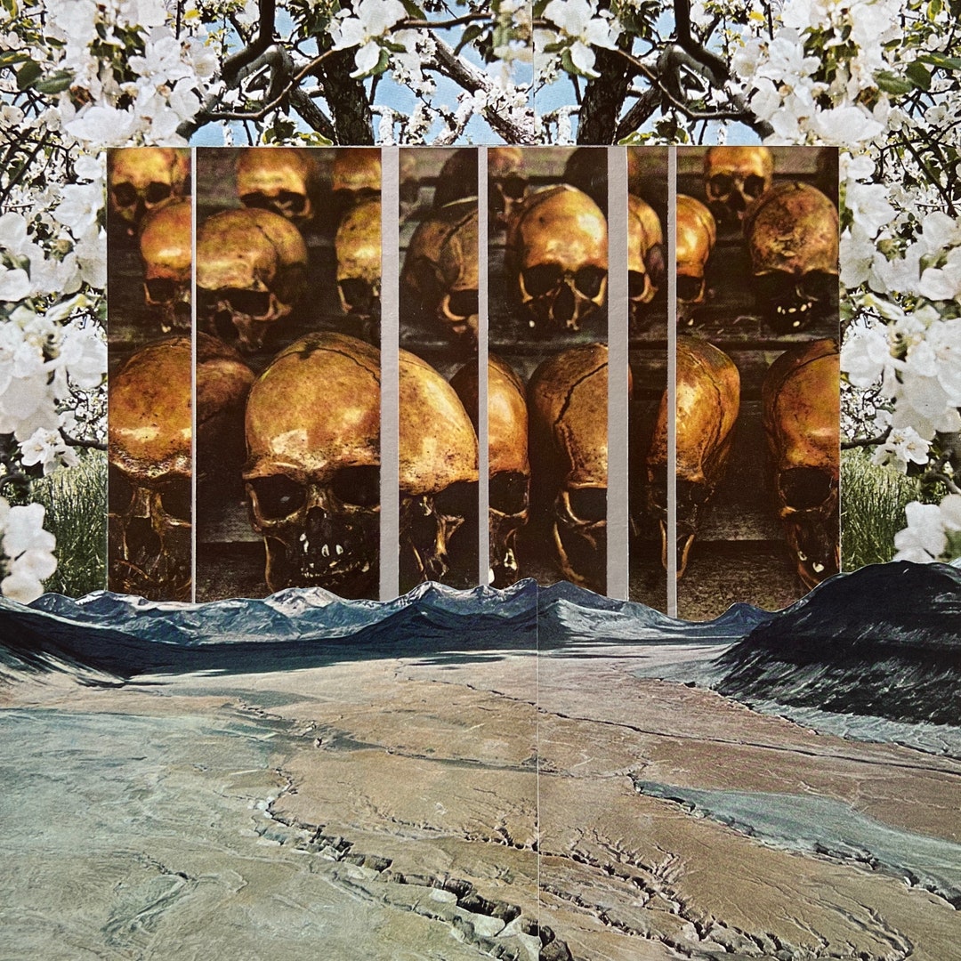 Original Analog Collage Skulls Landscape Tree Blossoms Mountains ...