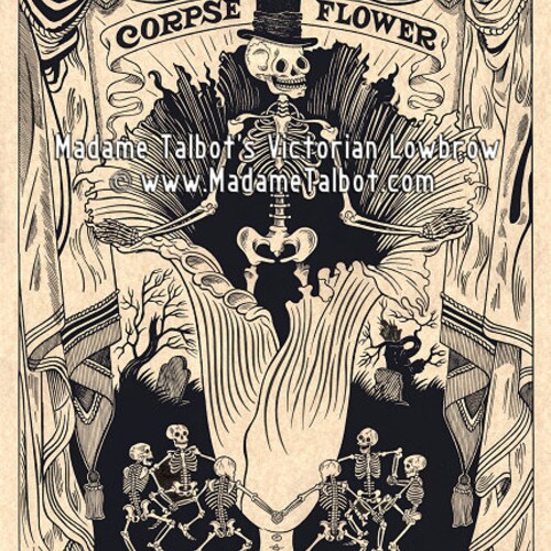 Corpse Flower Skeleton Victorian Lowbrow Madame Talbot Poster | Etsy