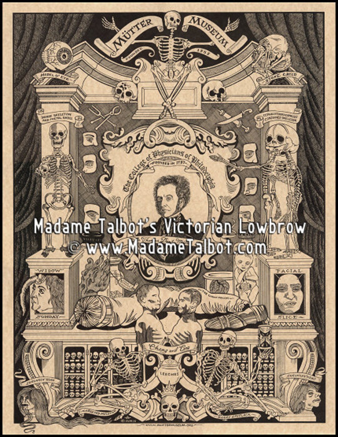 Mutter Museum Anatomical Skeleton Morbid Victorian Lowbrow Anatomy ...