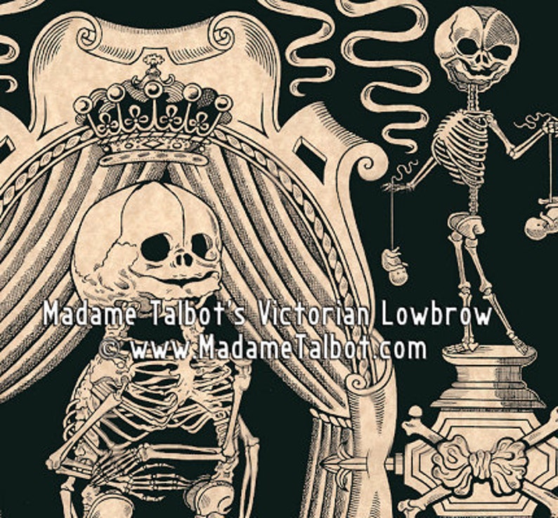 Victorian Lowbrow Anatomy Morbid Medical Museum Fetal Skeleton - Etsy