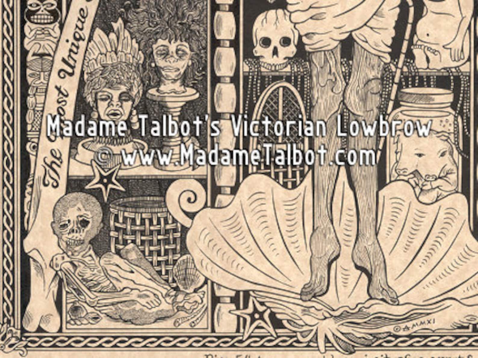 Seattle Ye Olde Curiosity Shop Mummy Shrunken Head Anatomy - Etsy UK