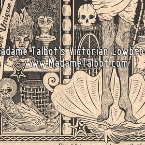 Seattle Ye Olde Curiosity Shop Mummy Shrunken Head Anatomy Morbid ...