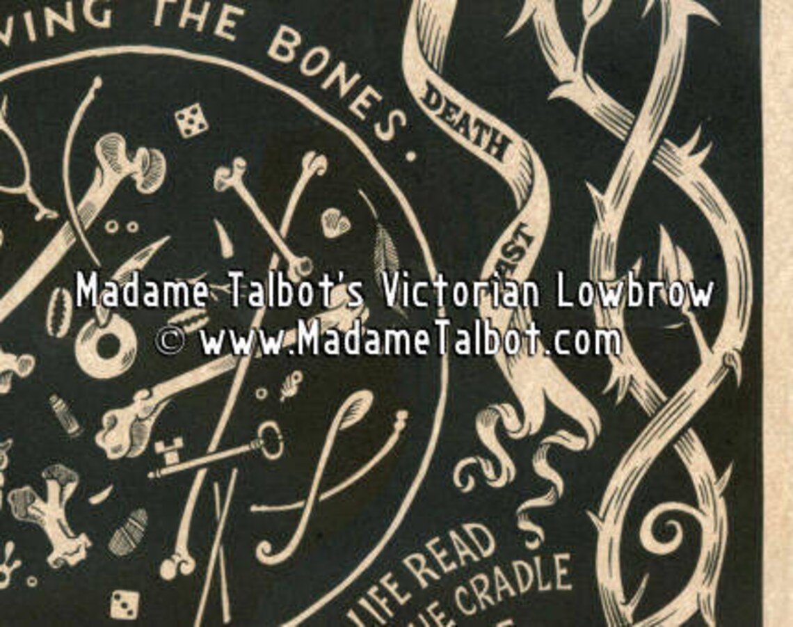 The Bone Reader Poster Divination Fortune Telling Poster Hand | Etsy