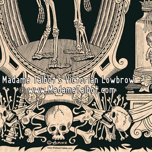 Victorian Lowbrow Anatomy Morbid Medical Museum Fetal Skeleton Poster ...