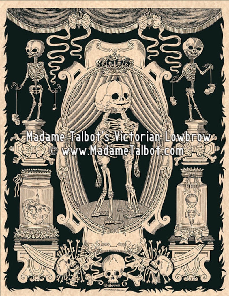 Victorian Lowbrow Anatomy Morbid Medical Museum Fetal Skeleton - Etsy