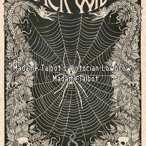 Black Widow Spider Skeleton Victorian Lowbrow Poster - Etsy