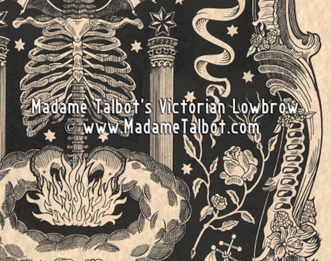 Skull Alchemy Ribcage Skeleton Skull Gothic Lowbrow Occult Poster - Etsy UK
