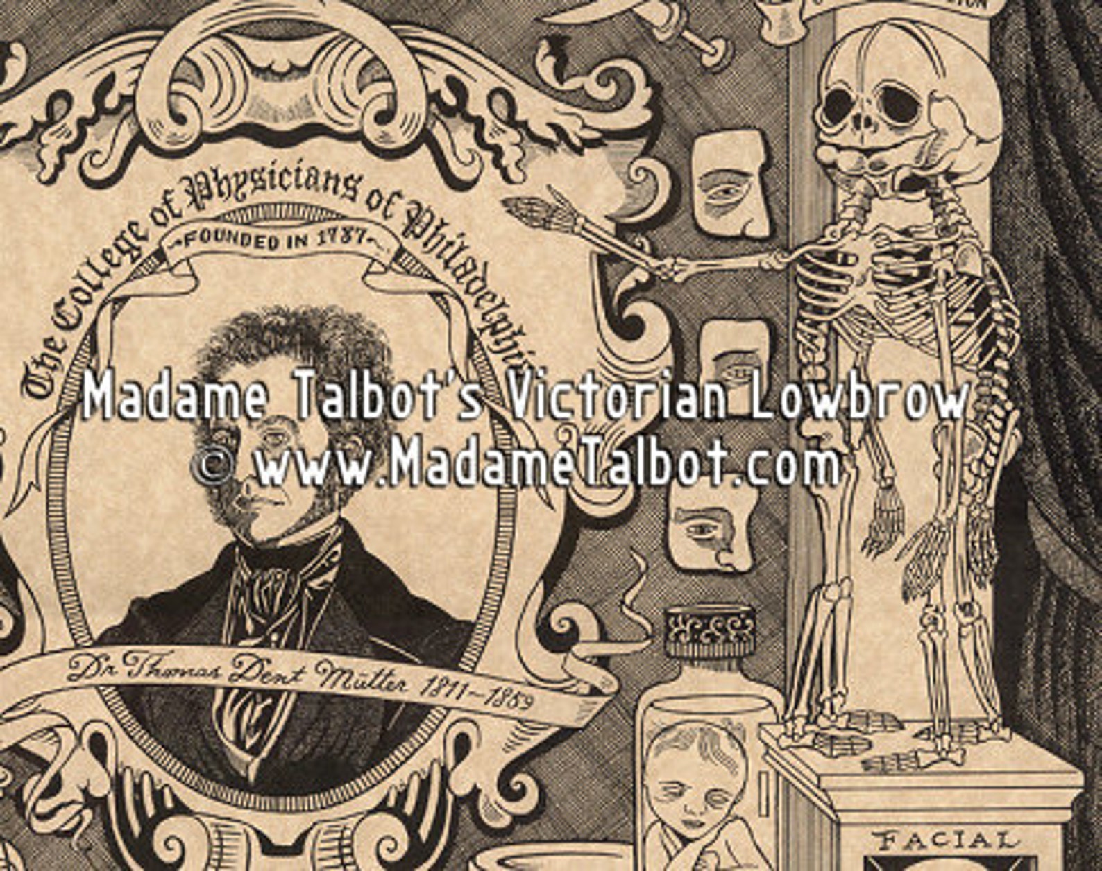 Mutter Museum Anatomical Skeleton Morbid Victorian Lowbrow Anatomy ...