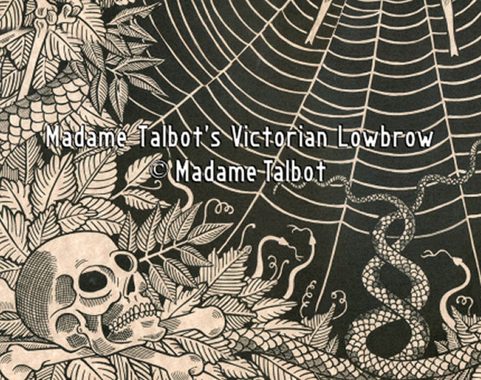 Black Widow Spider Skeleton Victorian Lowbrow Poster - Etsy UK