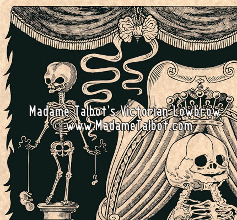 Victorian Lowbrow Anatomy Morbid Medical Museum Fetal Skeleton - Etsy