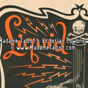 Liquid Sunshine Radium Poster Hand Illustrated and Designed by Madame ...