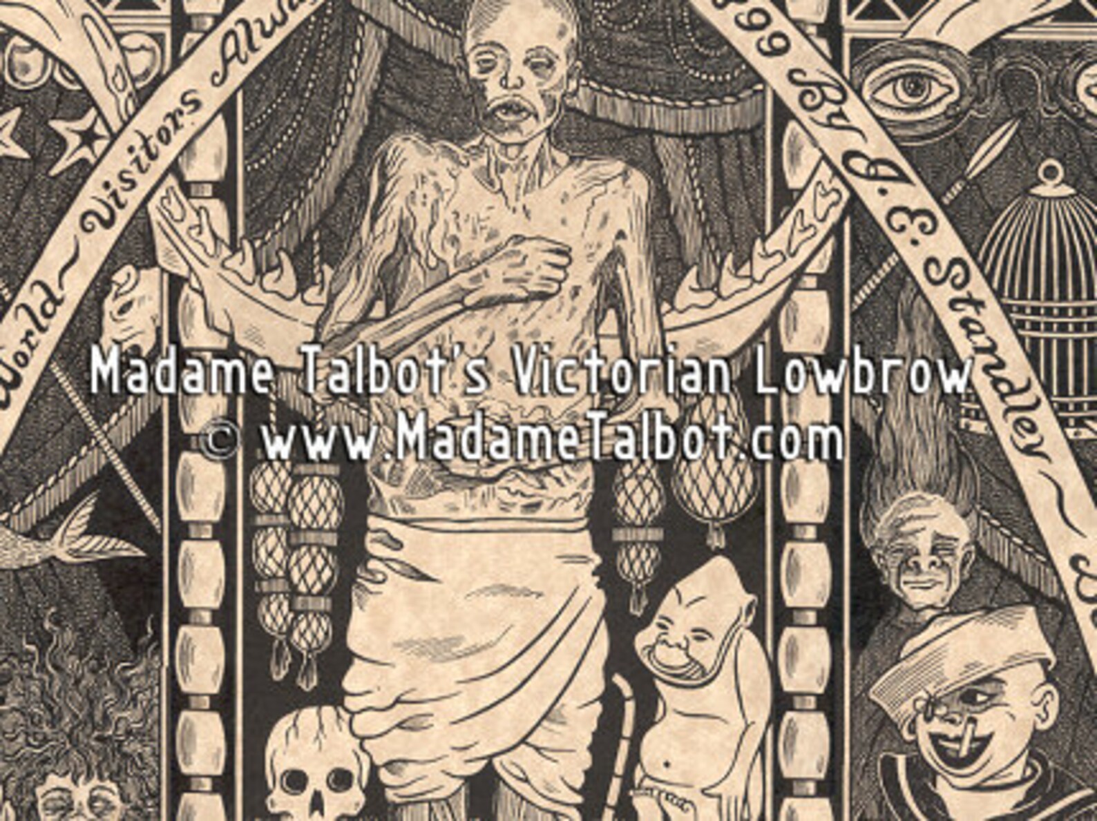 Seattle Ye Olde Curiosity Shop Mummy Shrunken Head Anatomy - Etsy UK