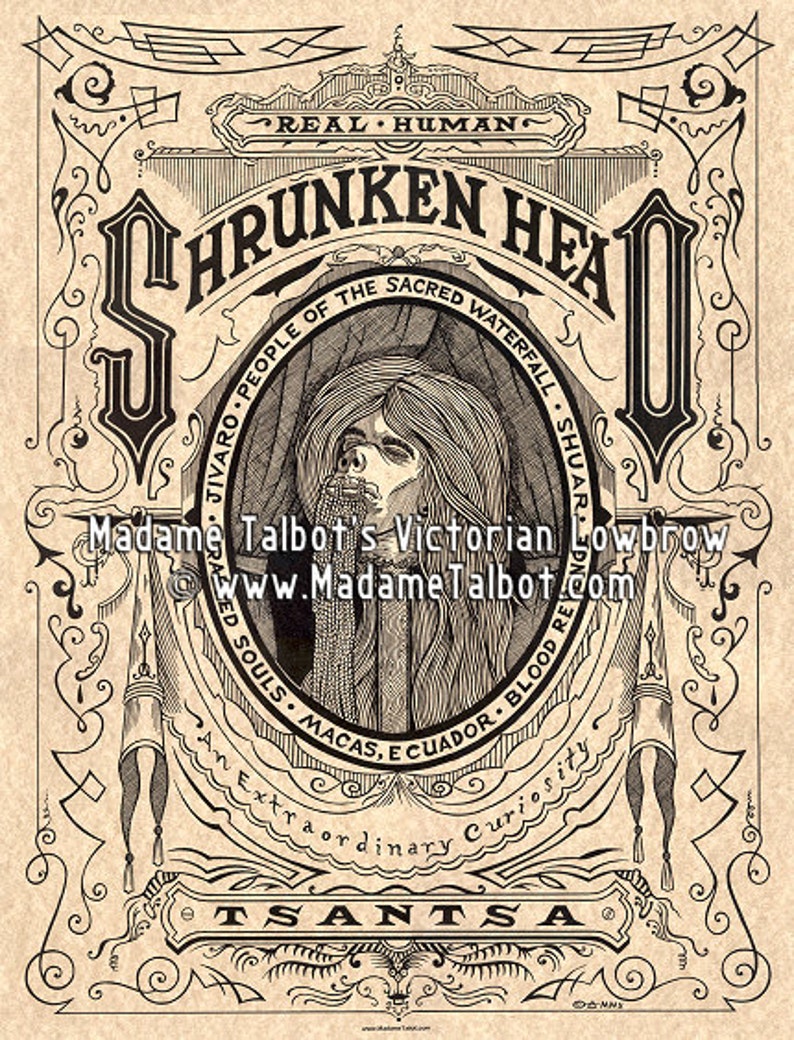 Human Shrunken Head Tsantsa Gothic Lowbrow Poster - Etsy