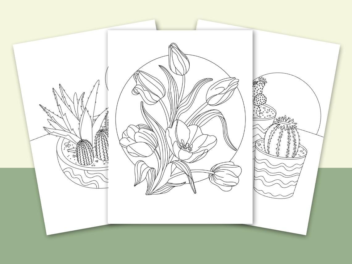 Relaxing Coloring Pages, Plant Lovers Coloring Pages, Plants Coloring ...