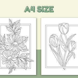 Relaxing Coloring Pages, Plant Lovers Coloring Pages, Plants Coloring ...