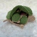 Turtle Crochet Memory Game Full Pattern - Crocheting Amigurumi Full ...
