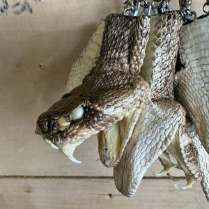 Rattlesnake Head Key Chain - Etsy