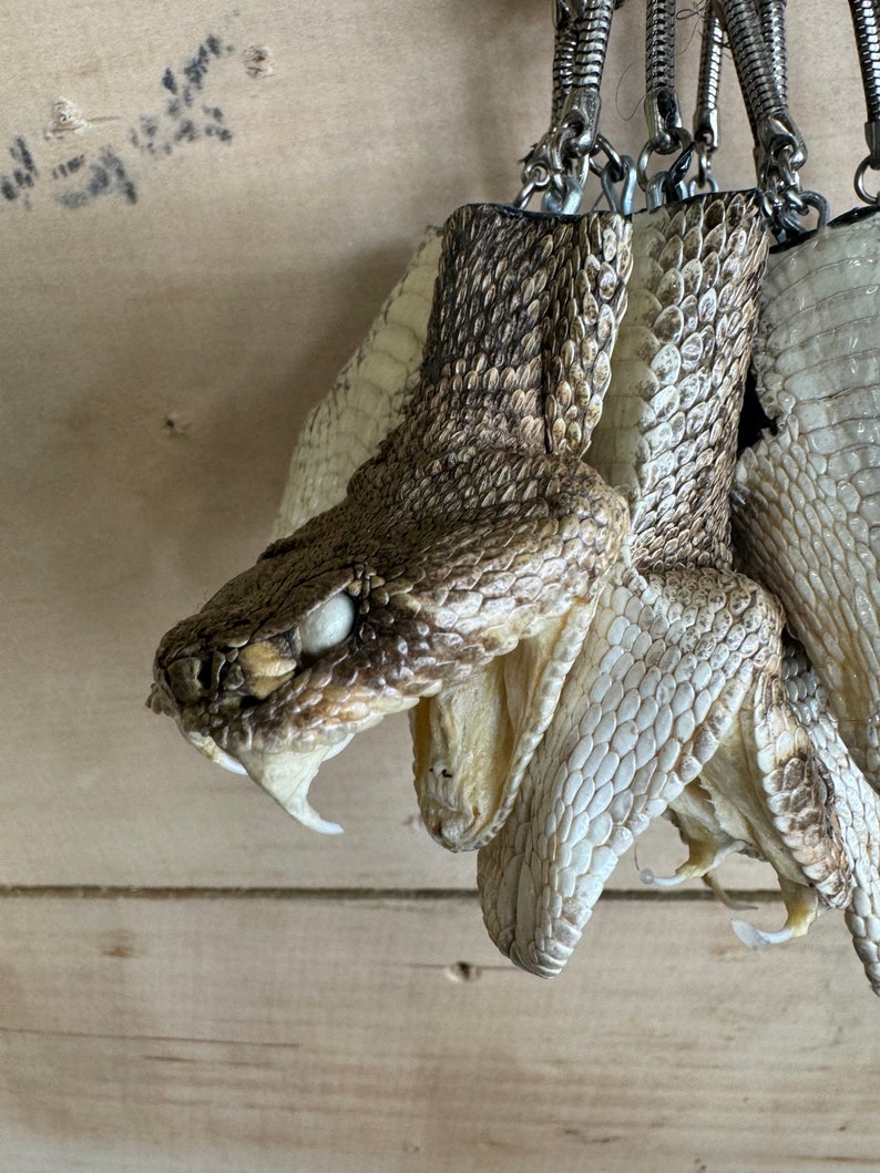 Rattlesnake Head Key Chain - Etsy
