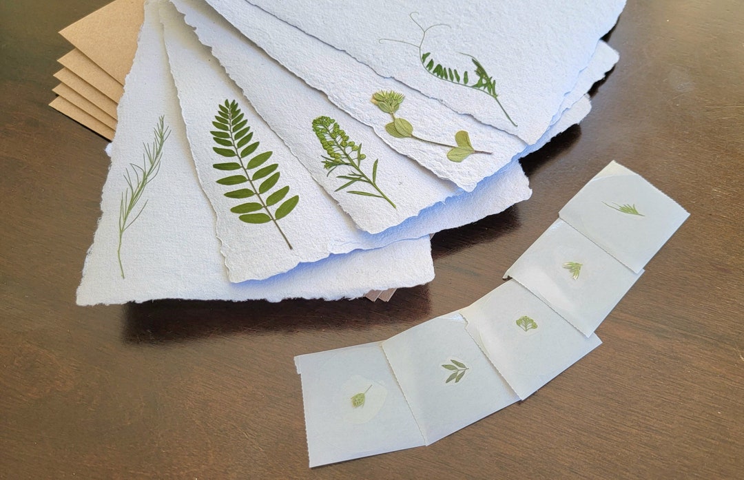 Pressed Greenery Stationary Set. Handmade Recycled Paper With Pressed ...