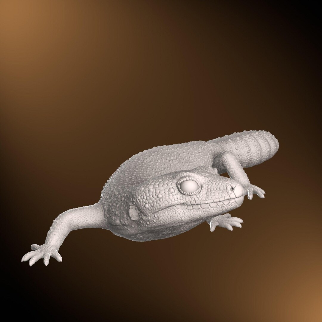 Leopard Gecko - Turning Pose - Etsy