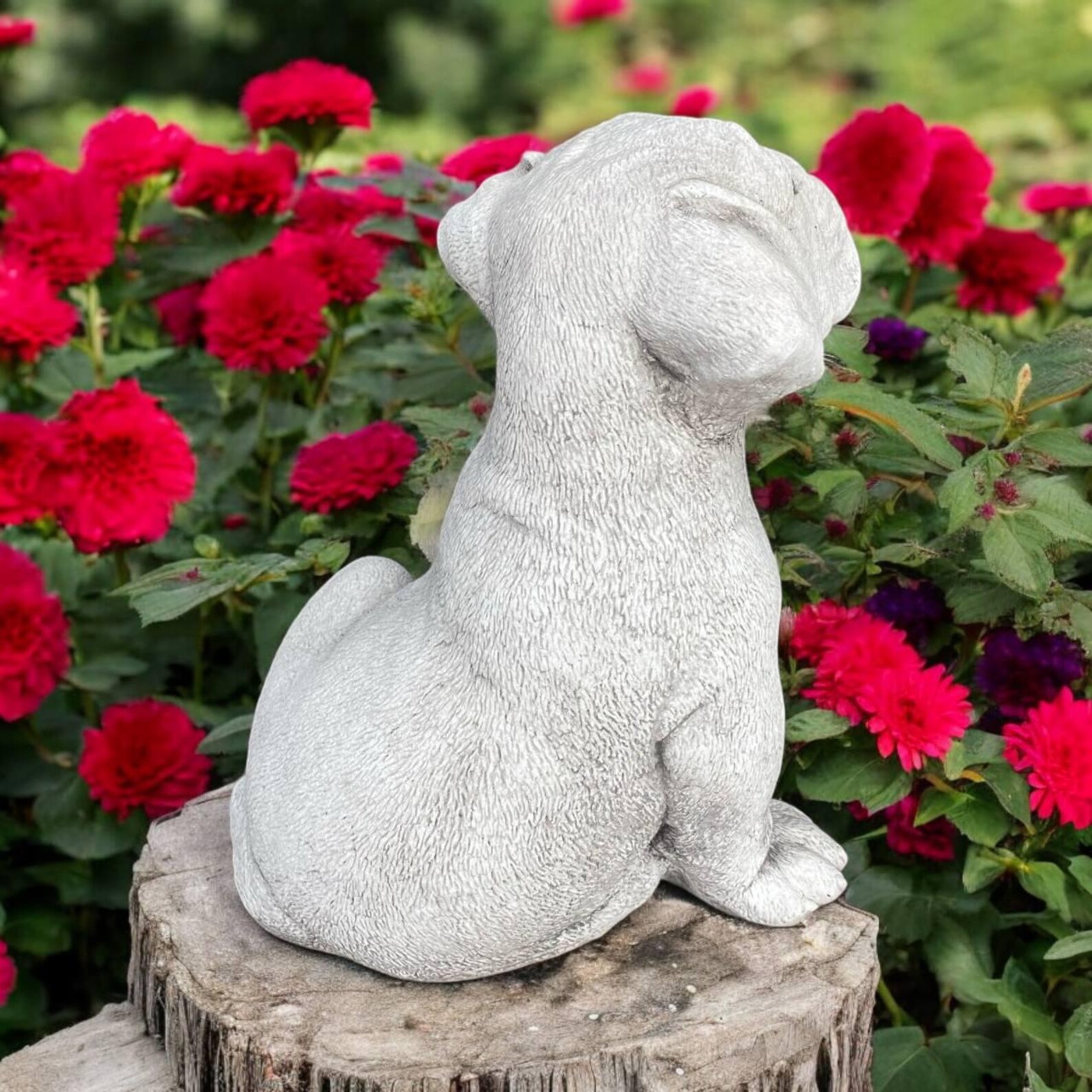 Concrete Labrador With Bone Statue, Garden Sitting Puppy Sculpture ...