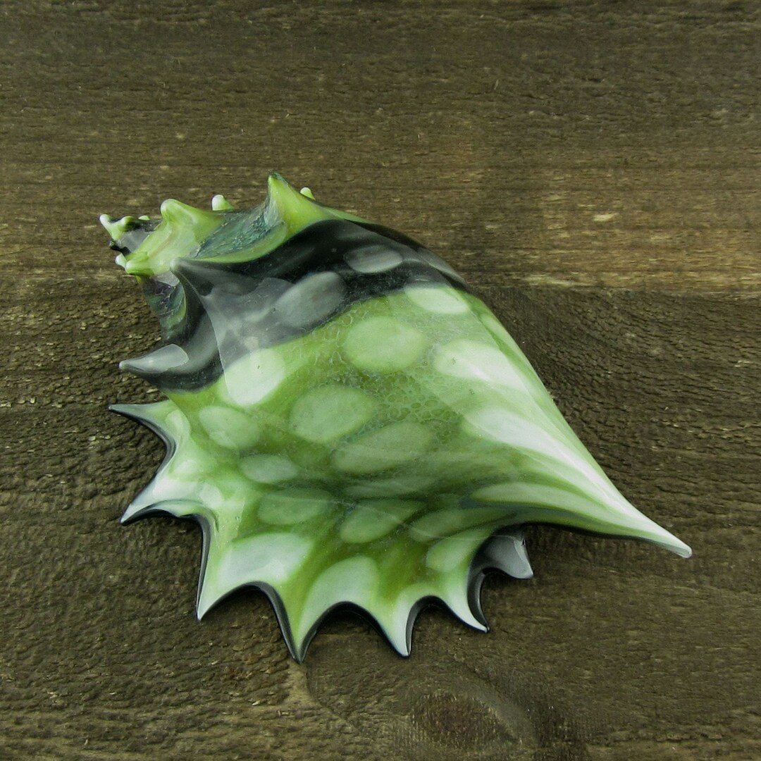 Glass Sea Shell Glass Seashell Conch Sea Shell Collectable Etsy