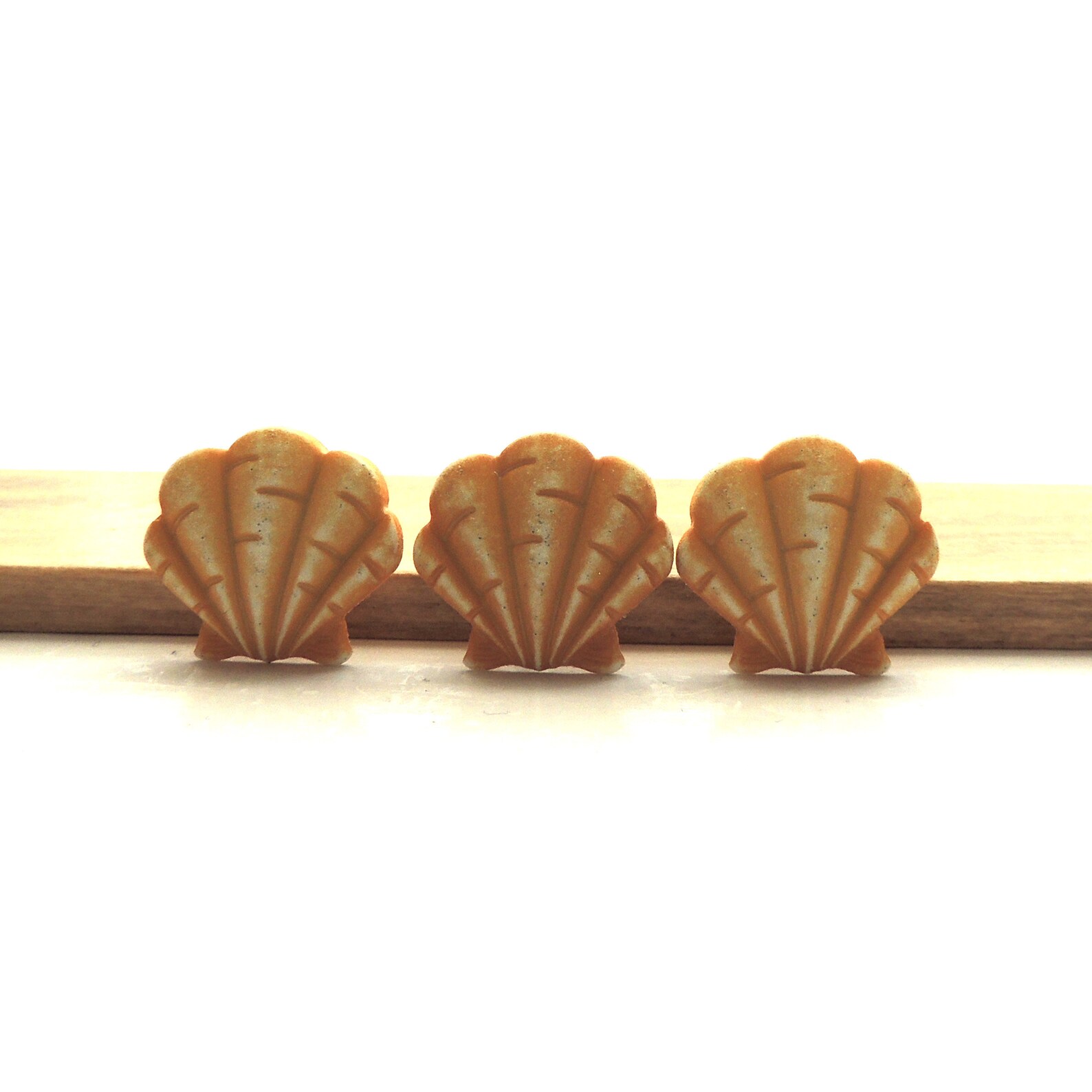 Fan Seashell Buttons by Buttons Galore / Novelty - Etsy