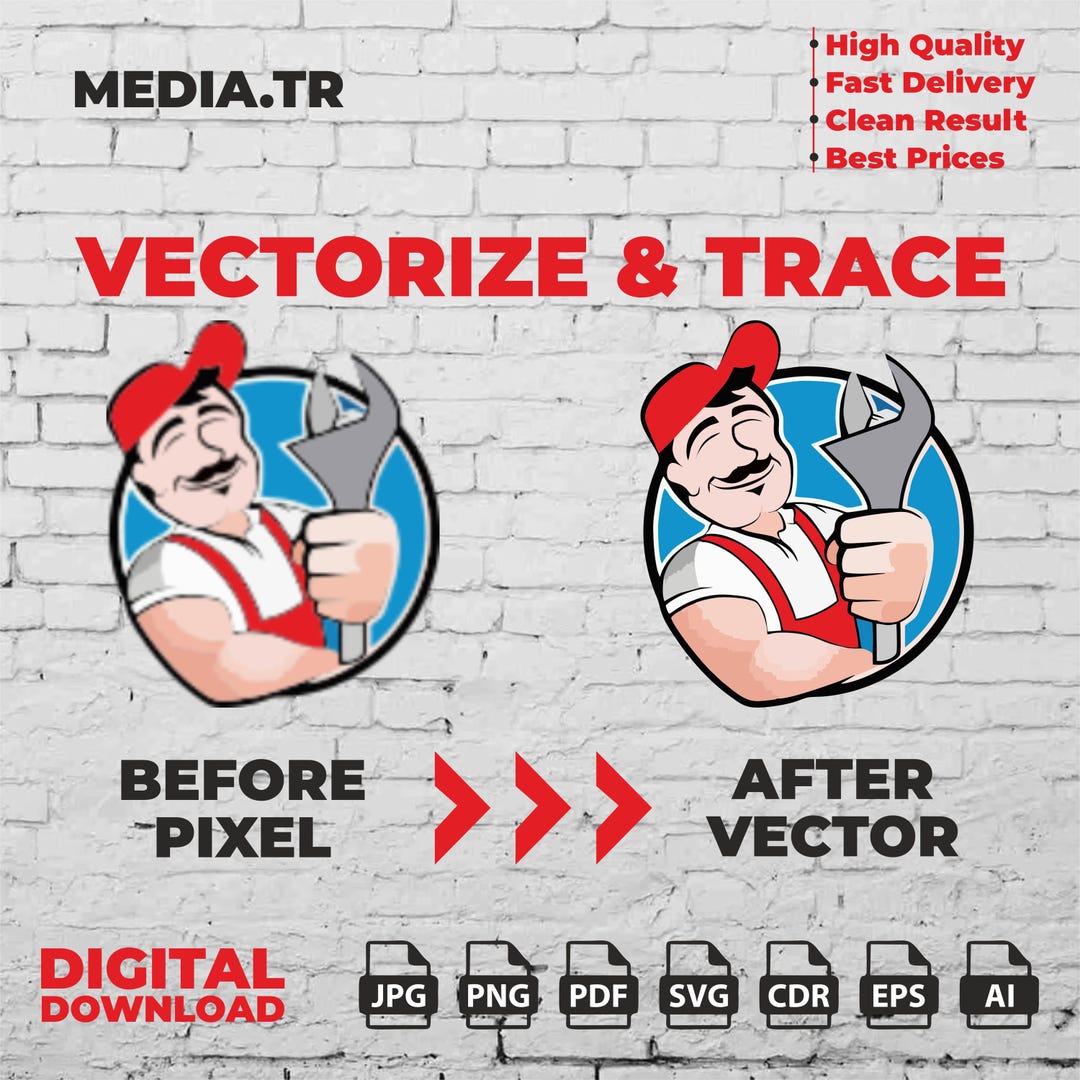 Professional Vectorization Service – Convert Your Logos and Images Into ...