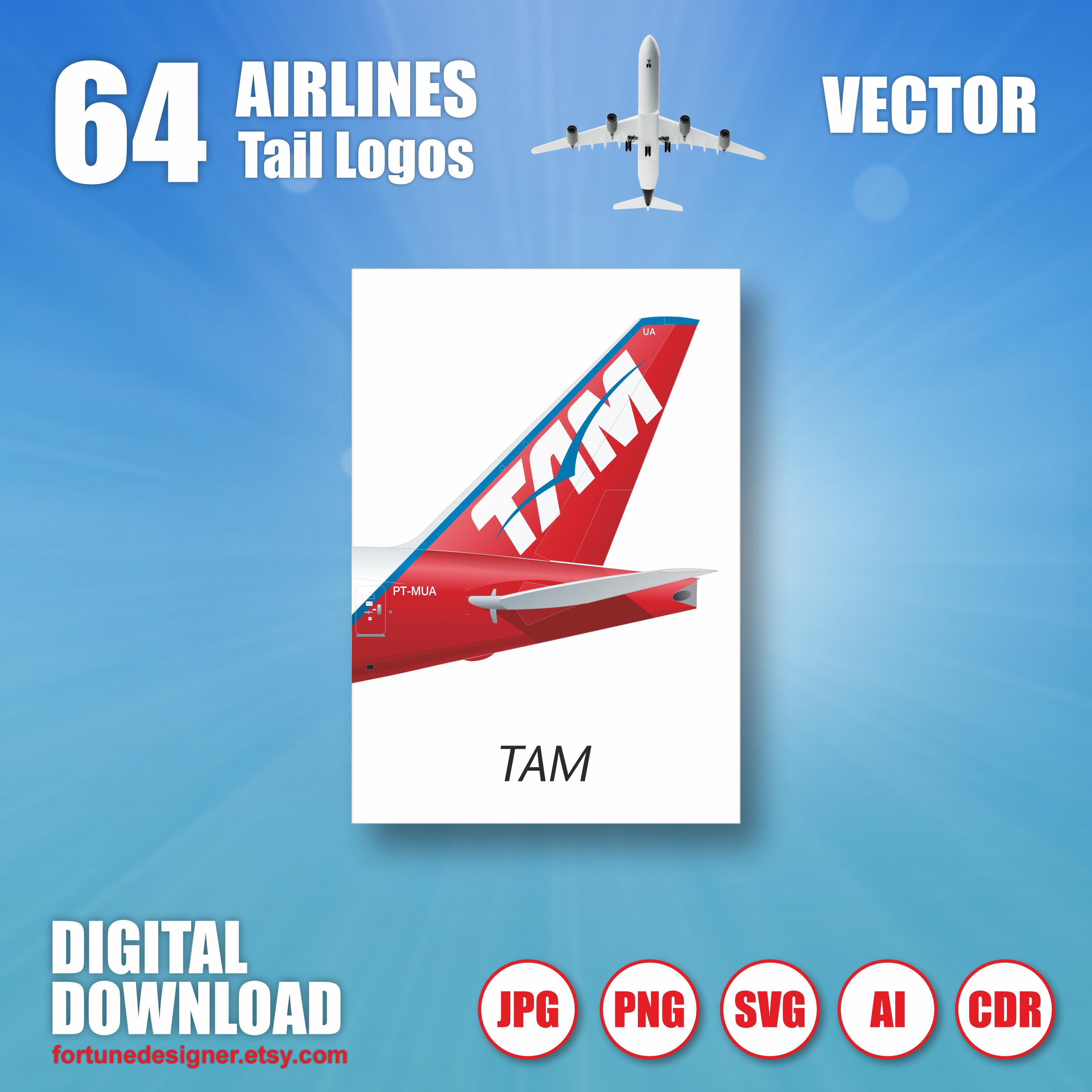 Airline Tail Logos Flashcards: Aviation Learning Cards (digital ...