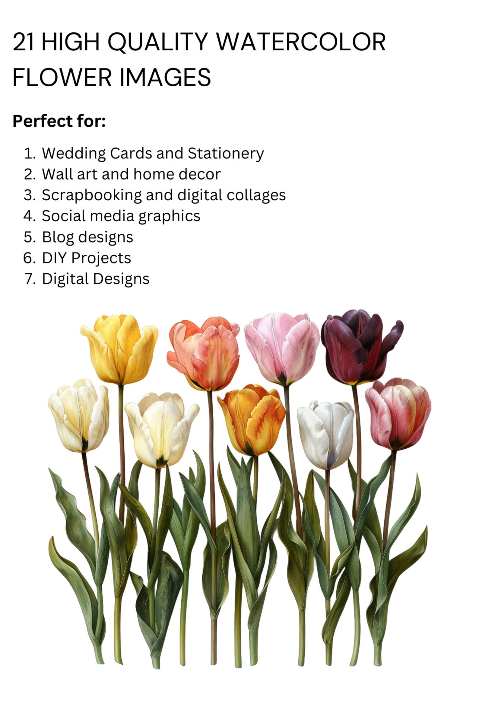 Tulips Clipart, Wedding Clipart, Watercolor Tulips Clipart, Wildflowers ...