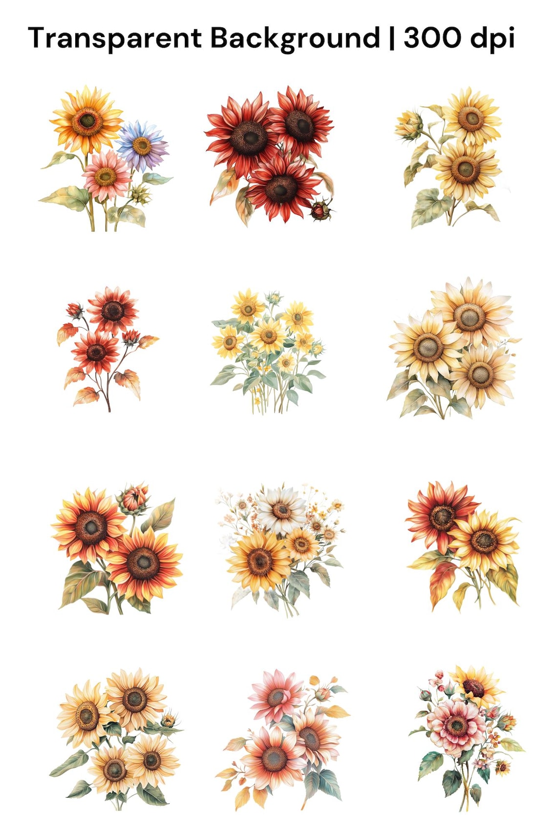 Watercolor Sunflowers Clipart, Floral PNG Images (digital Download) - Etsy