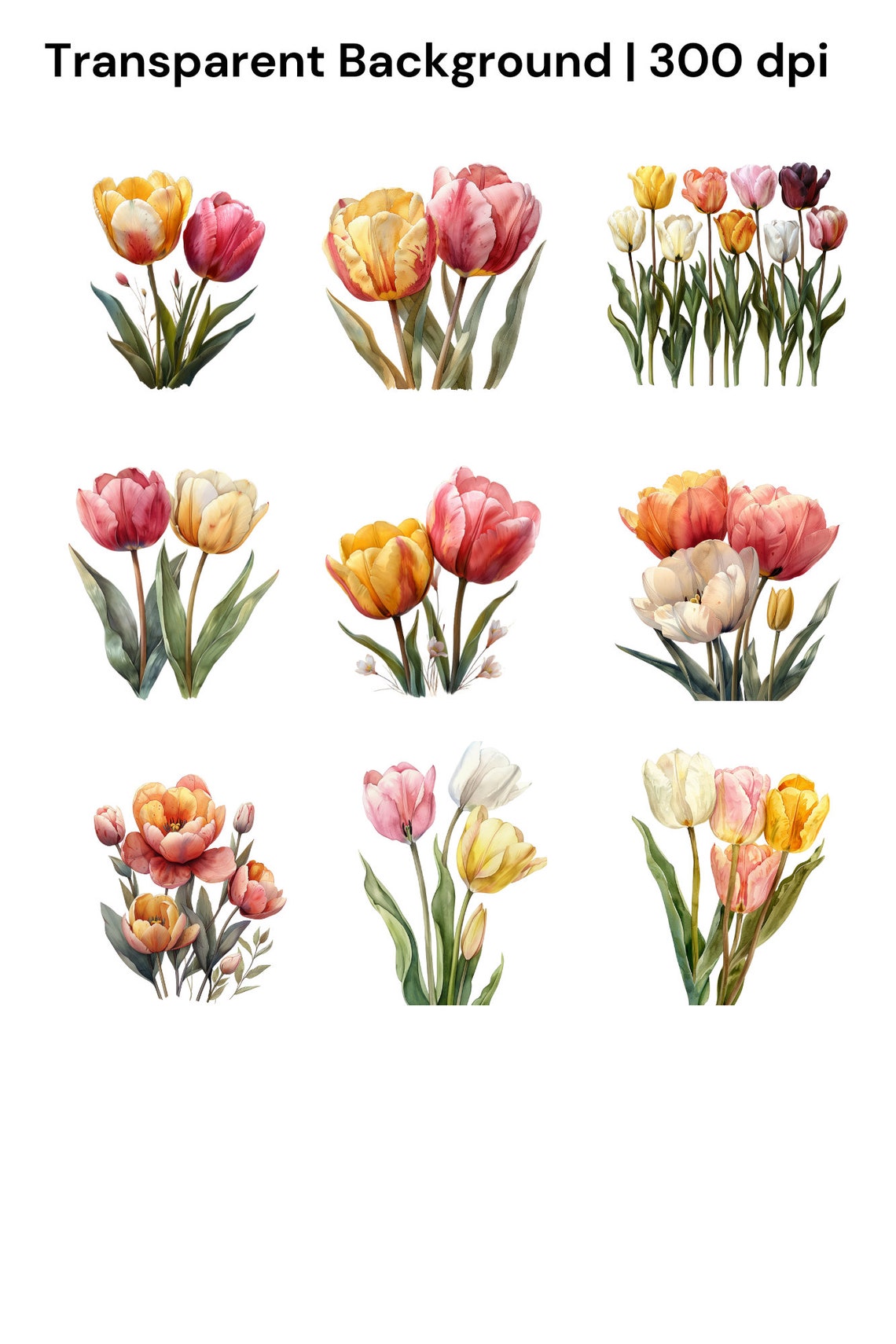 Tulips Clipart, Wedding Clipart, Watercolor Tulips Clipart, Wildflowers ...