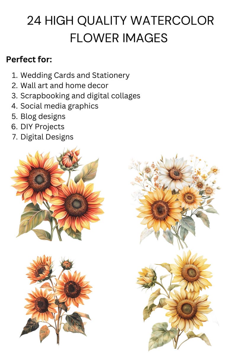 Watercolor Sunflowers Clipart, Floral PNG Images (digital Download) - Etsy