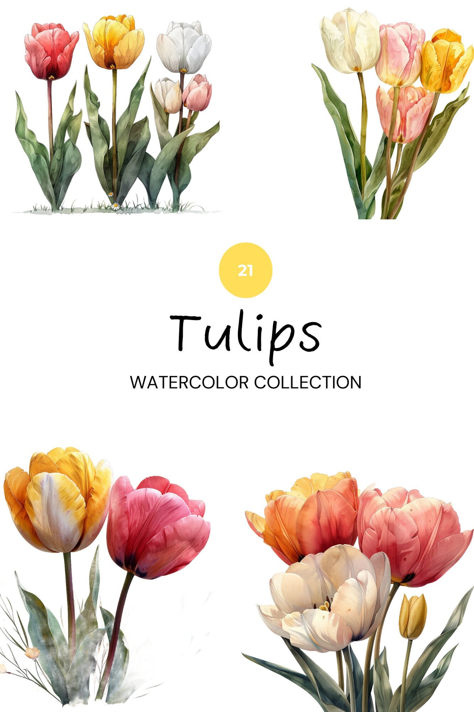 Tulips Clipart, Wedding Clipart, Watercolor Tulips Clipart, Wildflowers ...