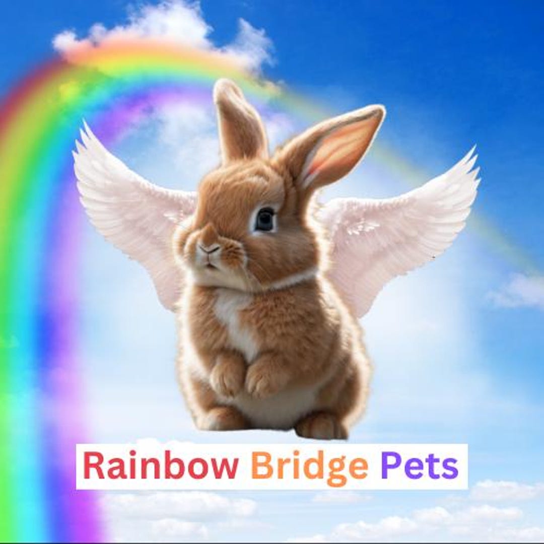 Adults Unisex Personalised Pet Memorial Hoodie. Custom RIP Pet Keepsake ...