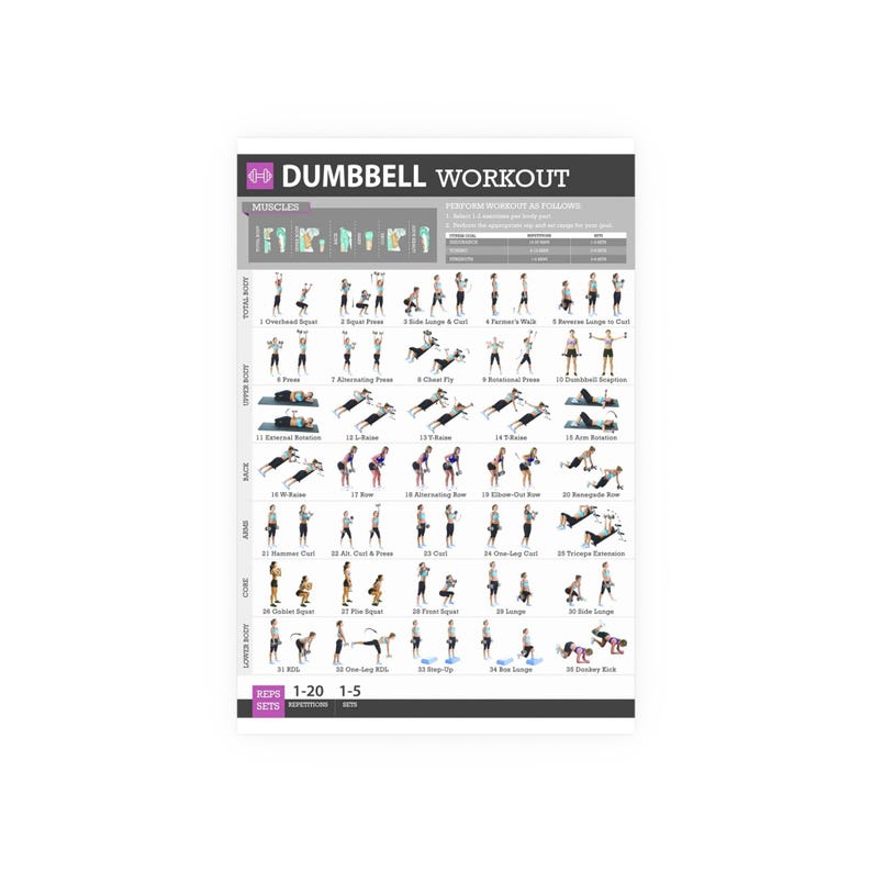 Large Dumbbell Workout Poster, Fitness Exercise Guide, Home Gym Wall ...